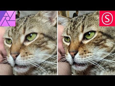 Save A Blurred Image Affinity Photo Tutorial Artofit