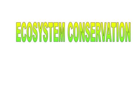 Ecosystem Ppt