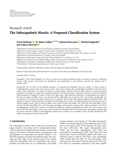 Pdf The Subscapularis Muscle A Proposed Classification System
