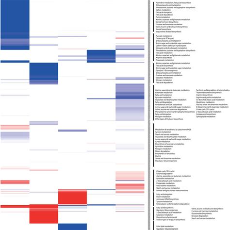 CLC Genomics Workbench Rar Indunvalen Lichniribah