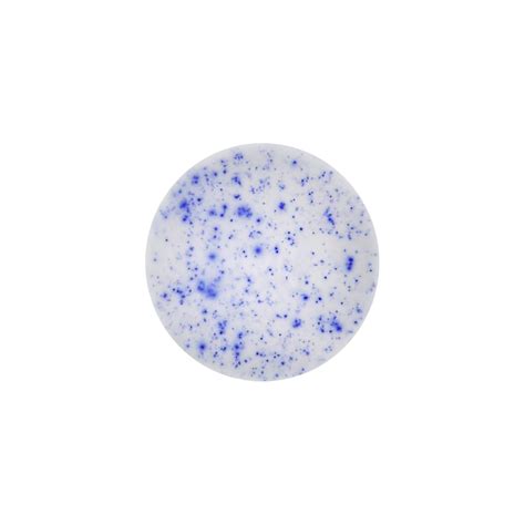 Elispot Assay Service Raybiotech