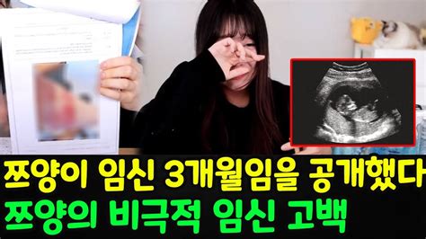 쯔양이 남자친구와 임신 3개월차라는 사실을 깜짝 공개했다 쯔양은 남자친구가 제가 임신한 걸 알고도 여러 번 부상을 입고 병원에 입원해야 했다고 말했습니다 그는