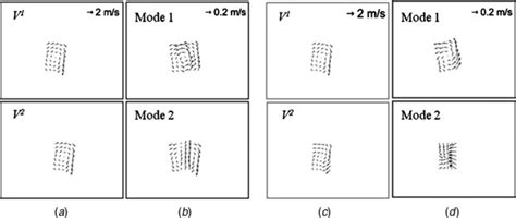 Input Velocity Distributions Of Two Identical Vortices After