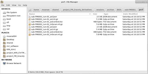 Resolved Hcp Prefreesurfer Pipeline Cannot Find Batch File Issues