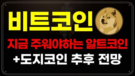 비트코인 한달안에 떡상할 알트코인 공개 도지코인 시세 전망 Youtube