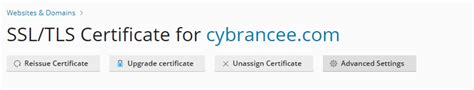 How To Add A Zerossl Certificate In Plesk Cybrancee Knowledgebase