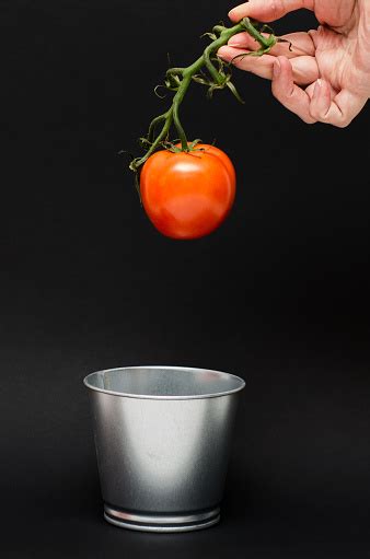 공기의 나뭇가지에 신선한 비행 토마토 주석 양동이에 토마토 건강한 식단 채식 음식 어두운 배경에 신선한 야채 0명에 대한 스톡