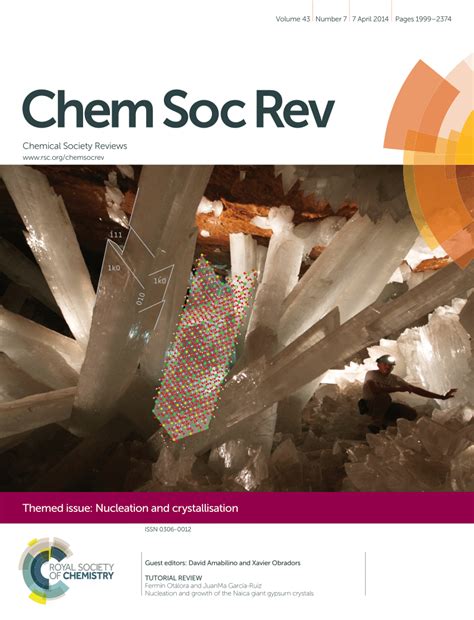 Pdf Nucleation And Growth Of The Naica Giant Gypsum Crystals