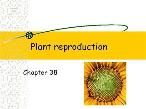 Plant Reproduction Chapter 38 Fig 38 3 Plant