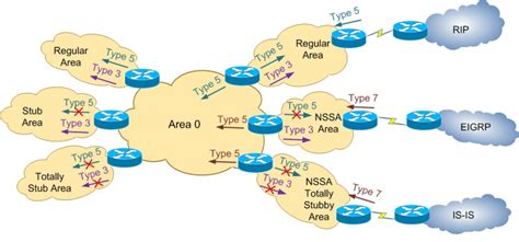 Routing Protocols And Switching Howtonetwork Com