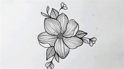 How To Draw A Flower Easy Step By Step With Pencil Video Dailymotion