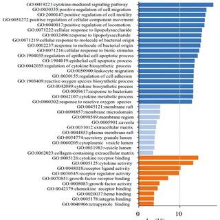 GO Enrichment Analysis Download Scientific Diagram
