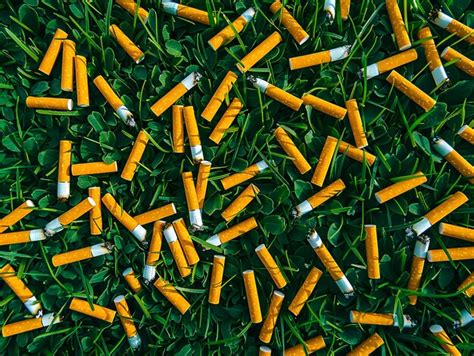 Premium Photo Cigarette Litter On The Grass