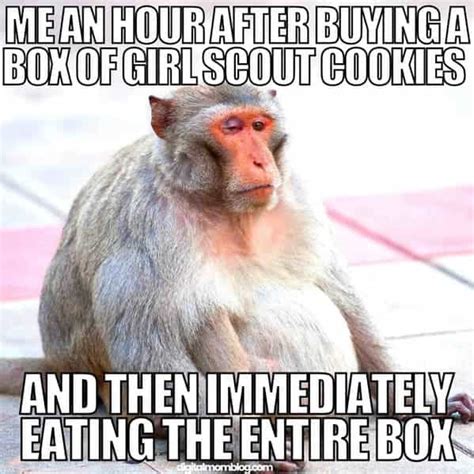 Girl Scout Cookies Memes 2023 20 Thunder Dungeon The Funniest Memes