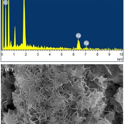 Sem Images Of Go A Edx Of Go B Sem Of Sf Goc C Edx Of Sf Goc D Download Scientific
