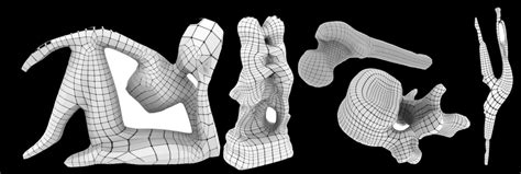 A Gallery Of Hex Dominant Meshes Of Organic Models Produced With Our Download Scientific