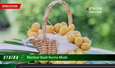 Temukan 7 Manfaat Buah Kurma Muda Yang Jarang Diketahui