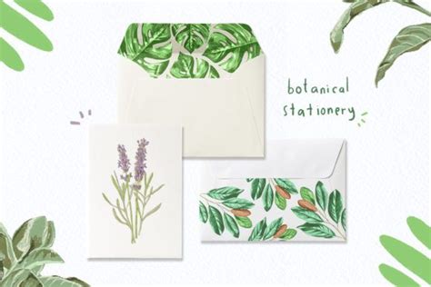 Colored Botanical Illustration Graphic By Salmanarulita · Creative