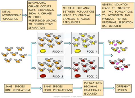 Reproductive Separation AQA A Level Biology Revision Notes