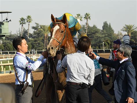 【bcクラシックレース後コメント】デルマソトガケ Cルメール騎手 競馬ニュース Netkeiba