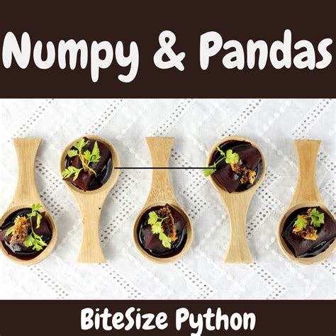 Bitesize Python Numpy And Pandas Datafloq
