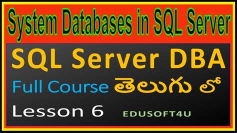 System Databases In Sql Server Sql Server Dba Full Online Course In