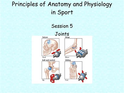 principles of a p 1112 session 5 joints structure ppt