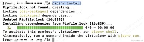 Pipenv入门pipenv Site Packages Csdn博客