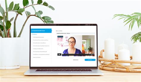 Cervical Mucus Gallery Fertility Charting