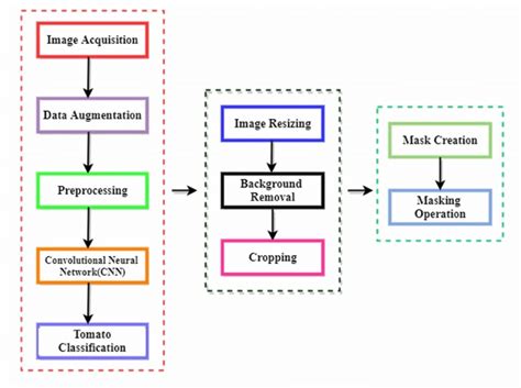 The Proposed Model For Tomato Maturity Classification Download