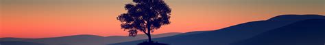 1668x238 Resolution Tree Alone Dark Evening 4k 1668x238 Resolution