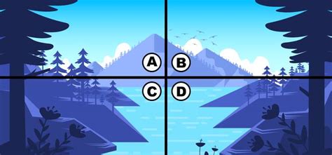 Spot The Turtle Quiz Correct Answers