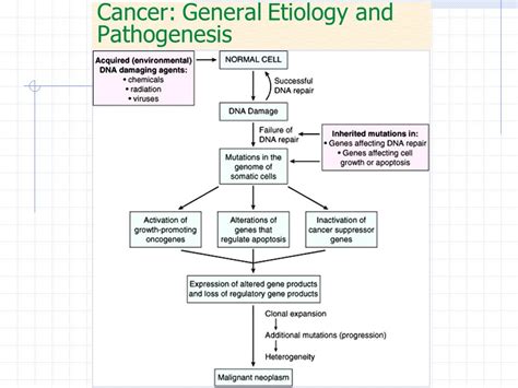 Pathophysiology Of Lung Cancer Diagram