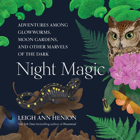 Night Magic By Leigh Ann Henion Hachette Book Group