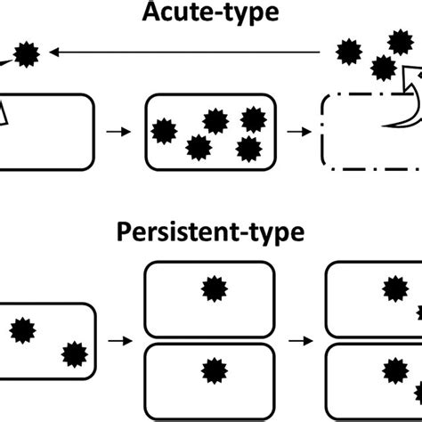 Schematic Of Transmission Routes Of Microbial Rna Viruses Download