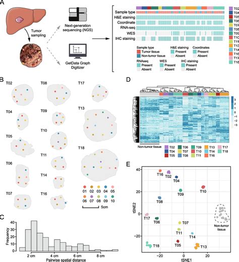 multi region sampling with spatial details a schematic presentation of