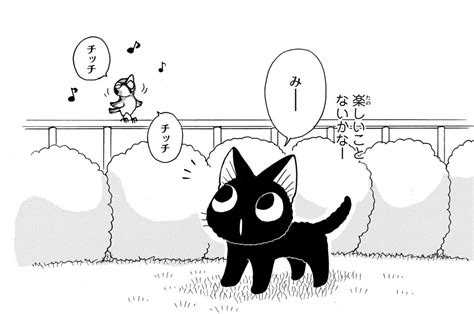 スーと鯛ちゃん こなみかなた 第102話 鯛ちゃんのハッピーソング コミックdays