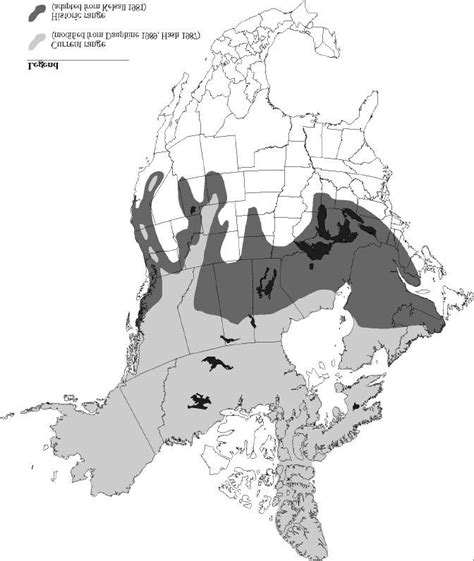 Current And Historical Ranges Of The Wolverine In North America