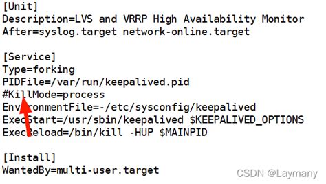 Yum 安装keepalived 使用systemctl 无法停掉其后台进程systemctl 无法 Kill 进程 Csdn博客