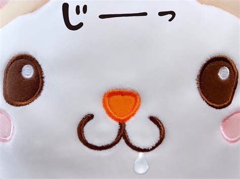 もっちりベビースターマン🐹🍼 On Twitter Kuradasbaystars たこそば・・・🐹🍼