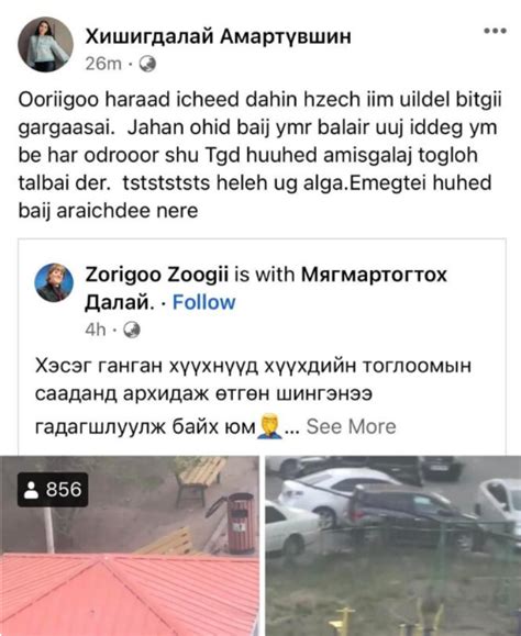 Хүүхдийн тоглоомын талбайд бие зассан эмэгтэйд дараах ШИЙТГЭЛИЙГ