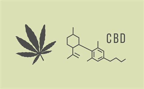Cbd Poster Vector Art Icons And Graphics For Free Download