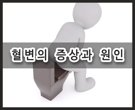 헤이북 Heybook