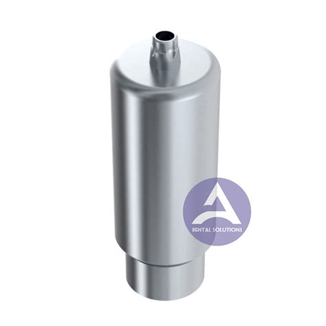 Mis Seven® Dental Implant Internal Titanium Premill Blank Abutment 10mm