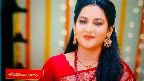 కమల పలలవ వషయ ల అవన పలన ఫలసతద YouTube