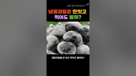 냉동과일은 안씻고 먹어도 될까 Youtube