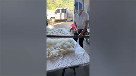 Traditional Cotton Fluffing Youtube