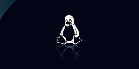 15 Year Old Linux Kernel Bugs Let Attackers Gain Root Privileges