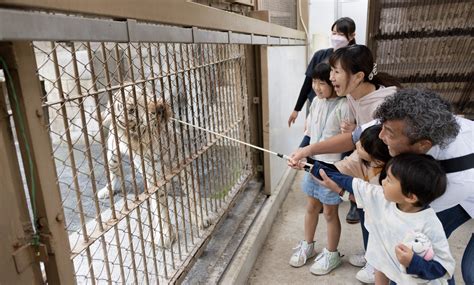 本日のイベント｜ ハイブリッド・レジャーランド東武動物公園公式webサイト