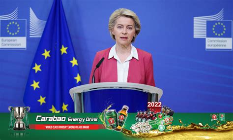 Eu នឹងកាត់បន្ថយការពឹងផ្អែកសម្ភារៈកម្រ និងសំខាន់ៗពី ចិន រុស្ស៊ី